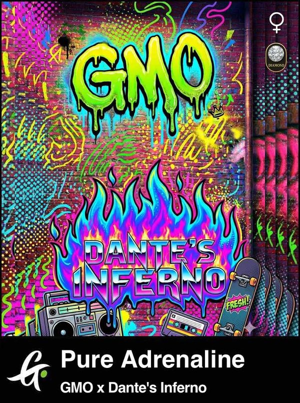 Pure Adrenaline Seeds (GMO x Dante’s Inferno)