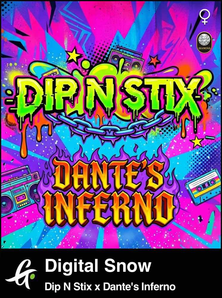 Digital Snow Seeds (Sugarcane x Dante’s Inferno) - Greenpoint